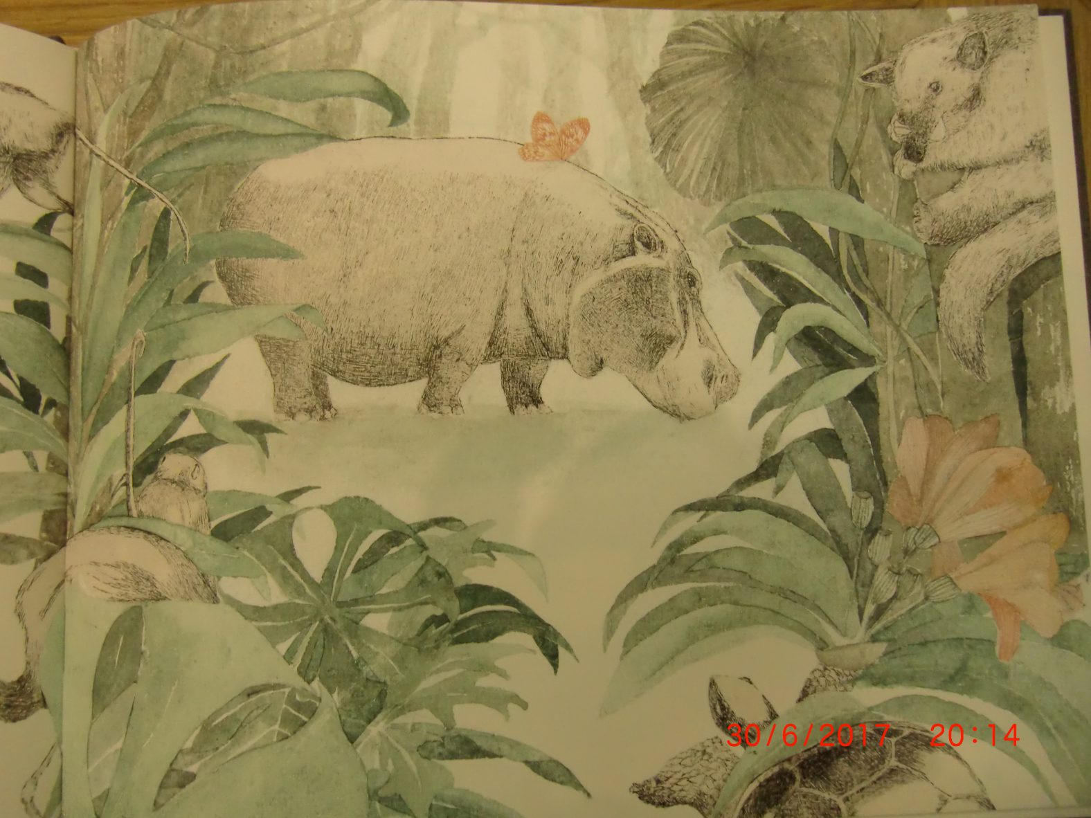 Das Nilpferd | Kinderbuchhaus-Blog