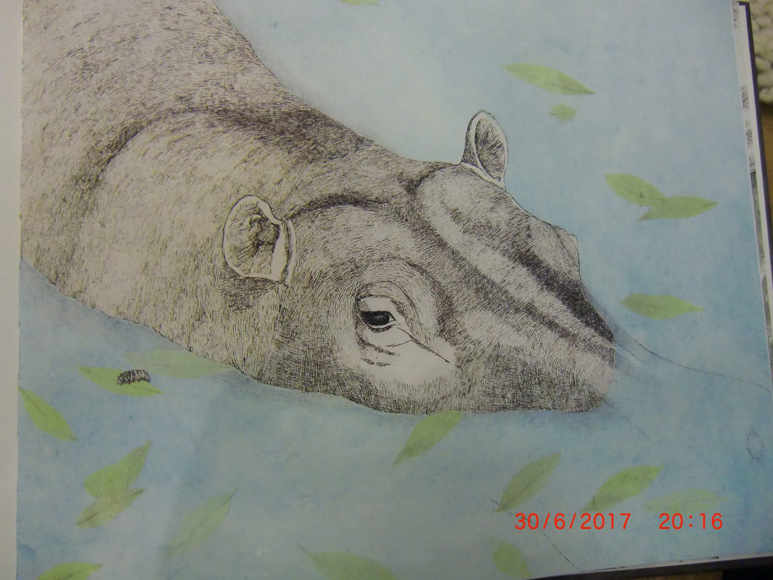 Das Nilpferd | Kinderbuchhaus-Blog